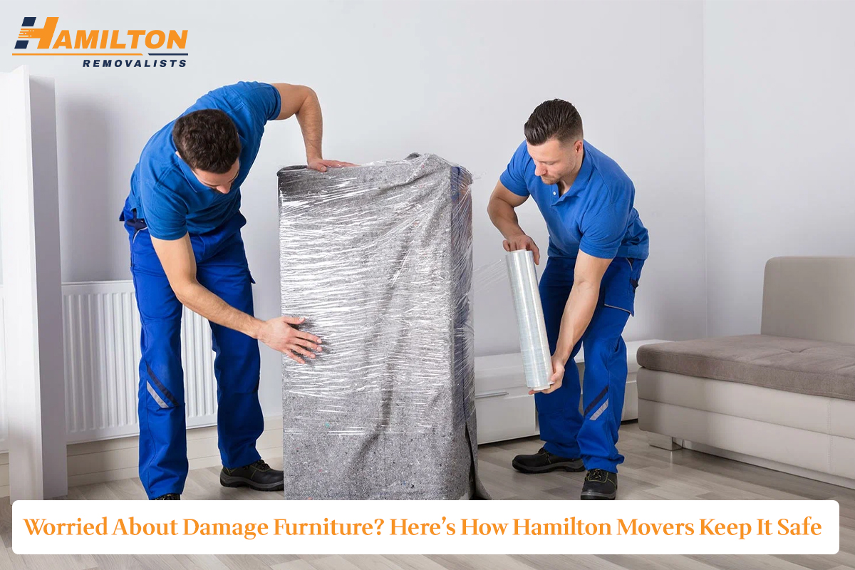 Top 5 Hamilton Movers | Trusted and Powerful Moving Experts